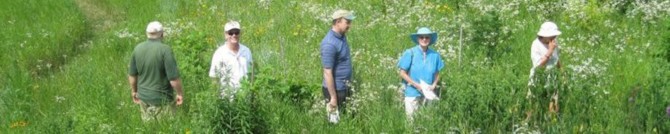 Native Plant Walks - Wild Ones Greater DuPage