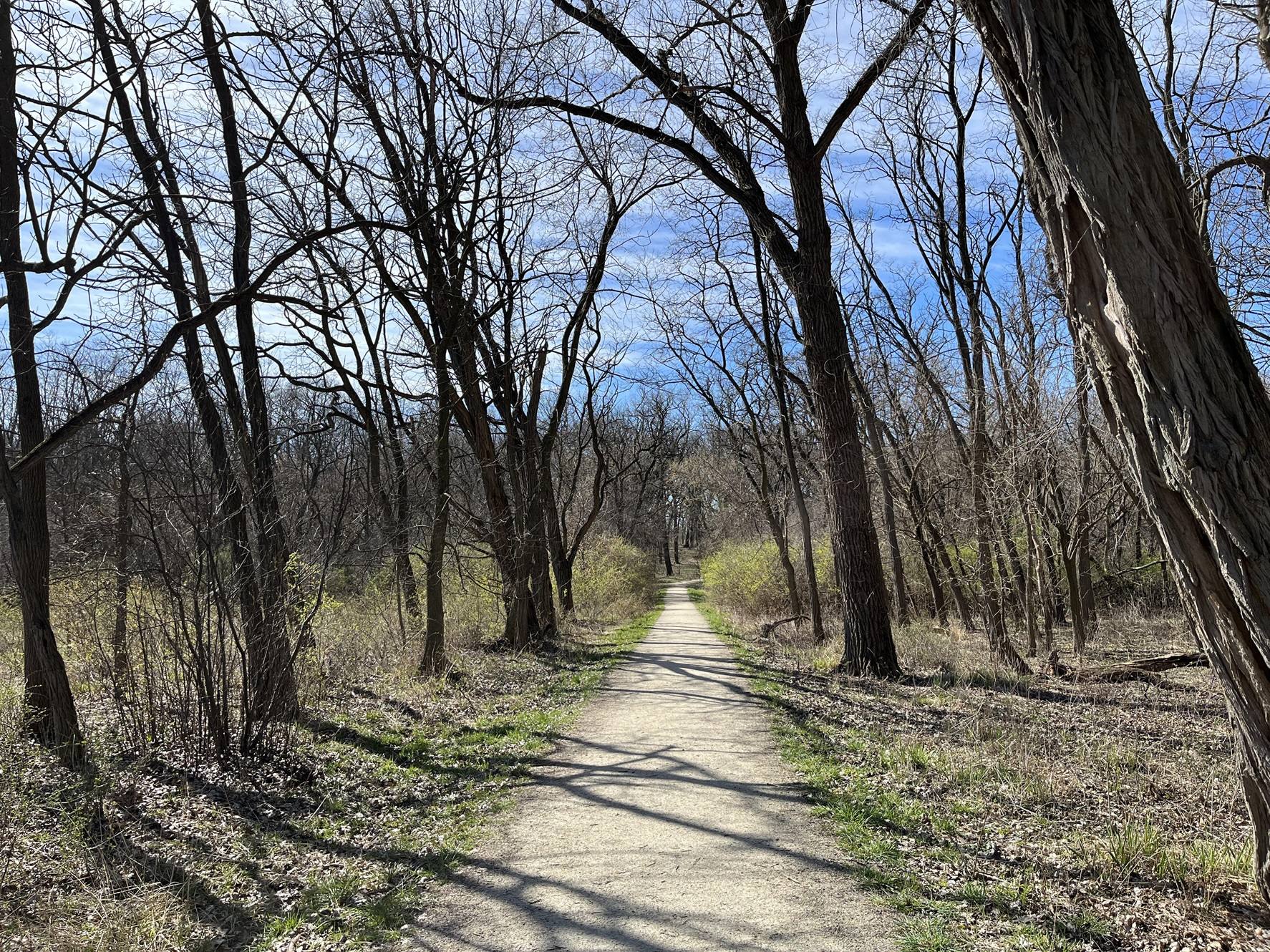 Take a Hike: Oldfield Oaks Forest Preserve - Wild Ones Greater DuPage