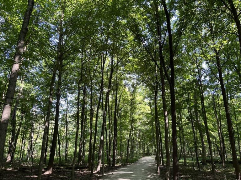 Take a Hike: Maple Grove Forest Preserve - Wild Ones Greater DuPage
