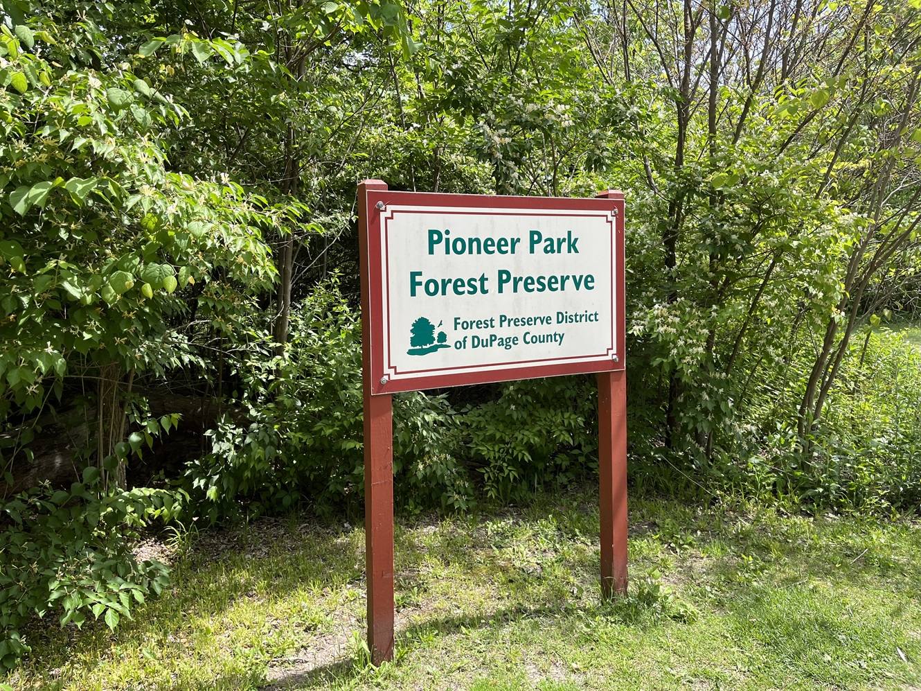 Take a Hike July 2025: Return to Pioneer Park Forest Preserve - Wild ...