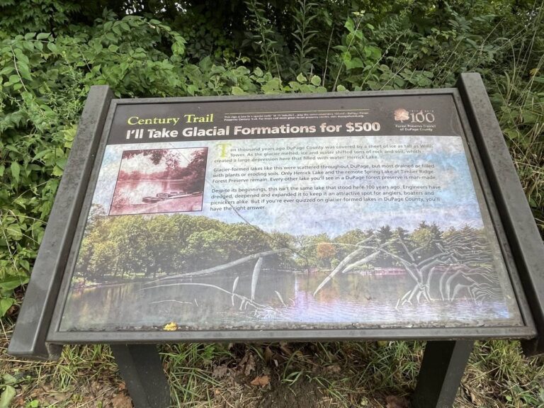 Take a Hike September 2025: Herrick Lake Forest Preserve - Wild Ones ...